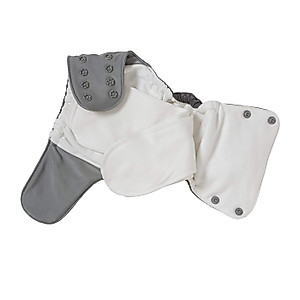 GroVia Reusable All in One Snap Baby Cloth Diaper (AIO) (Opal)