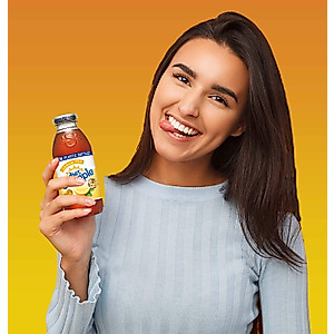 Diet Snapple - Diet Lemon Tea - 16 oz (9 Plastic Bottles)