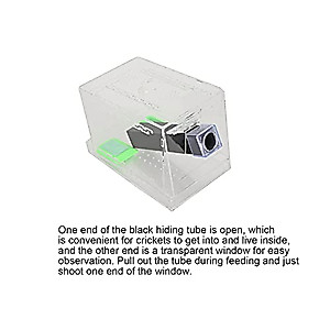Luroze Cricket Care Kit, Easy to Cricket Keeper Tank Box High Transparency Acrylic Material for Home for Office(S)