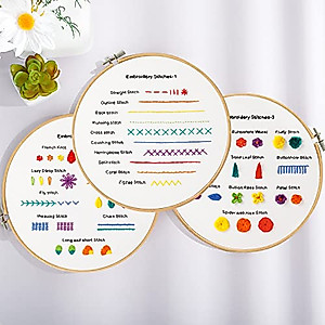 Santune Embroidery Kit - 3pcs Embroidery Patterns with Instructions for Beginners Cross Stitch Kits for Adults with 1 Embroidery Hoops, Color Threads and Needles, Good Hobbies for Women