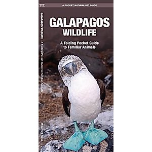 Galapagos Wildlife: A Folding Pocket Guide to Familiar Animals (Nature Observation International)