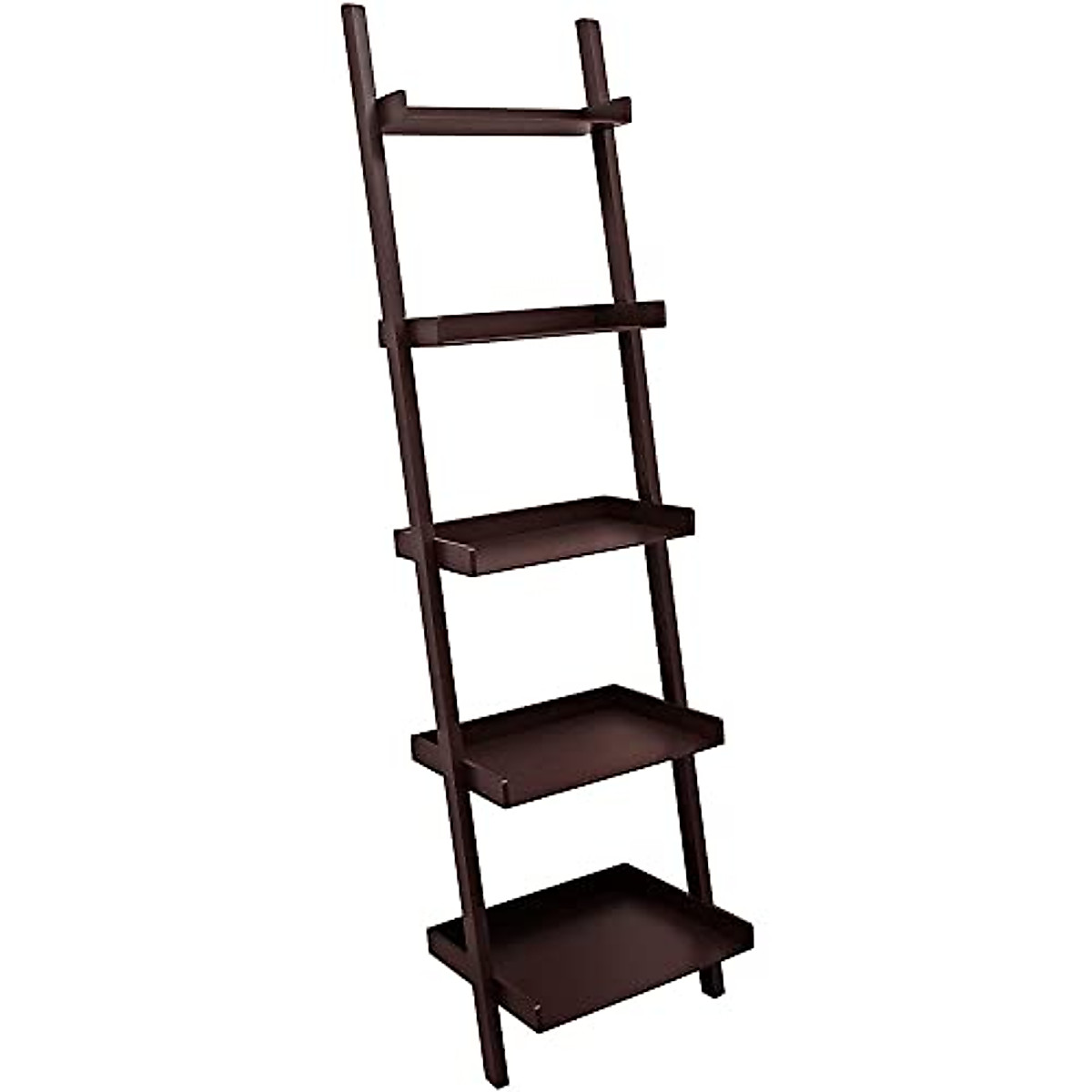 kieragrace Providence Hadfield Leaning Shelf, 18" by 67", Espresso