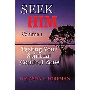 SEEK HIM Volume 1: Testing Your Spiritual Comfort Zone