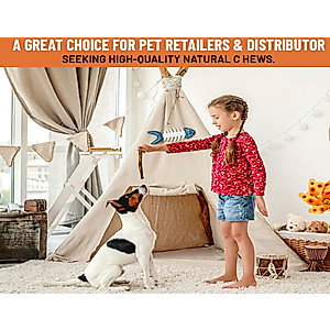 PETSamba 12 Inch Beef Collagen Sticks [12-Pack] – Collagen Bully Sticks for Dogs – All Natural – Highly Digestible