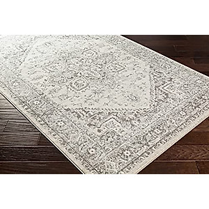 Hauteloom Rockfall Hallway, Kitchen Runner Rug - Traditional - Gray, Beige - 2'7" x 7'3"