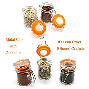 Homelike Style 1.7 oz Mini Glass Spice Jars with Labels, Small Stash Jars with Airtight Hinged Lid, 12 Pack Empty Spice Bottles with Rubber Gasket for Herb Tea Seasoning Storage