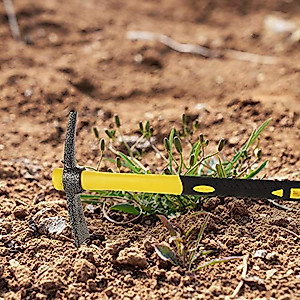 Ziqi Weeding Mattock Hoe 15 Inch Forged Garden Picks Tool, Pick Mattock with Fiberglass Handle, Garden Pick Axe Long Handle for Loosening Soil, Cultivating Vegetable Gardens, Camping, Archaeological