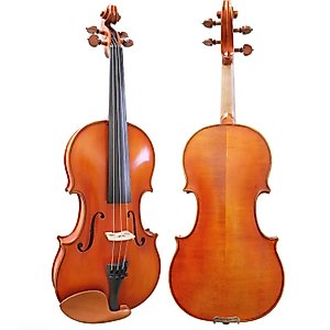 D Z Strad Model 220 Violin with Dominant strings, bow, case, rosin and shoulder rest - Open Clear Tone (4/4 - Size)