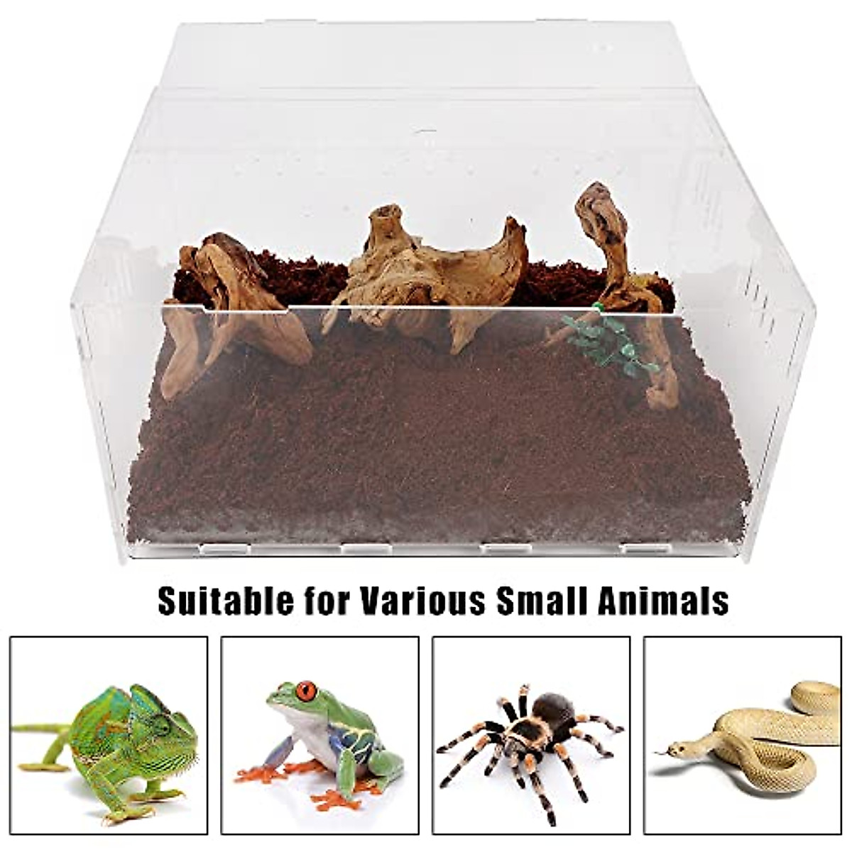 winemana Reptile Terrarium, Tarantula Enclosure, 16" x 11" x 6" Acrylic Large Feeding Tarantula Habitat Box for Small Animals Insect Home Office