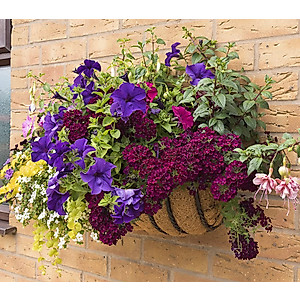 LAVEVE 24" Trough Coco Liner Replacement for Plant Hanging Basket, 2 Pcs 100% Natural Thick Coconut Fiber Liner for Garden Flowers Basket Planter/Window Flower Box/Vegetables Pot