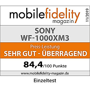 Sony Industry Leading Noise Canceling Truly Wireless Earbuds Compatible with Alexa Voice Control, Silver - Worldwide Version