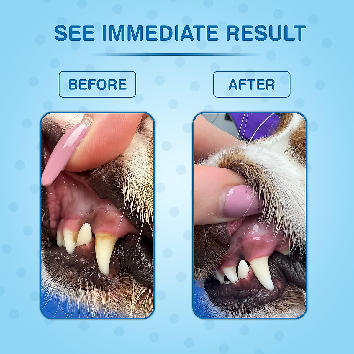 Follie 'n' Friends Dental Formula Water Additive - Combat Plaque and Tartar, Eliminate Bad Breath, Support Overall Gum Health - Easy to Use