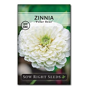 Sow Right Seeds - Zinnia Polar Bear Flower Seeds for Planting - Beautiful Flowers to Plant in Your Home Garden - Non-GMO Heirloom Packet - White Blooms Attract Pollinators - Cut and Come Again (1)