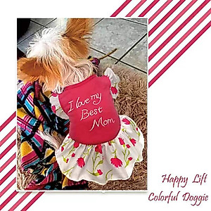 XPUDAC 4 Pieces Dog Dress Girl Dog Clothes for Small Dogs Girl Flower Dog Dresses for Small Dogs Apparel Colorful Small Dog Clothes Female (X-Small, 4 Flower)