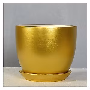 Ceramic Home/ Garden Modern Flower Planter Pot with Saucer/ Tray - Classic Round Shape Golden Color Small