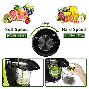 CIRAGO Juicer Machines, Slow Masticating Juicer Extractor Two Speed Adjustment, Easy to Clean, Quiet Motor, Cold Press Juicer for Vegetables and Fruits, BPA-Free (Green)