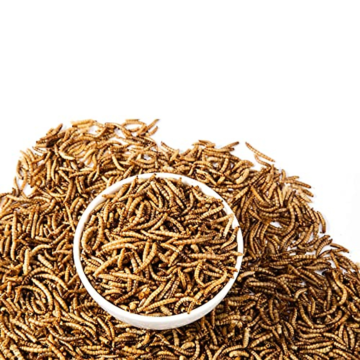 RANZ 10LBS Non-GMO Dried Mealworms for Chickens, High Protein Meal Worms, Whole Large Mealworms for Wild Birds, Ducks, Hedgehogs, Reptiles. Premium Chicken Feed, Perfect Bird Food and Chicken Treats