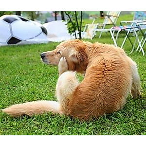 Dog Immune Support - Dog Allergy Relief - Advanced Formula Support - CHEWABLE - Dog Supplements for Skin and Coat - 2 Bottle (150 Chews)