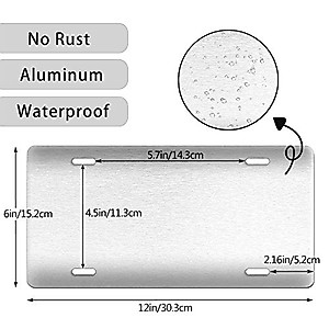 Ertregysrtg Atari Video Game Retro Logo Vintage Gaming Console License Plate 6" X 12"