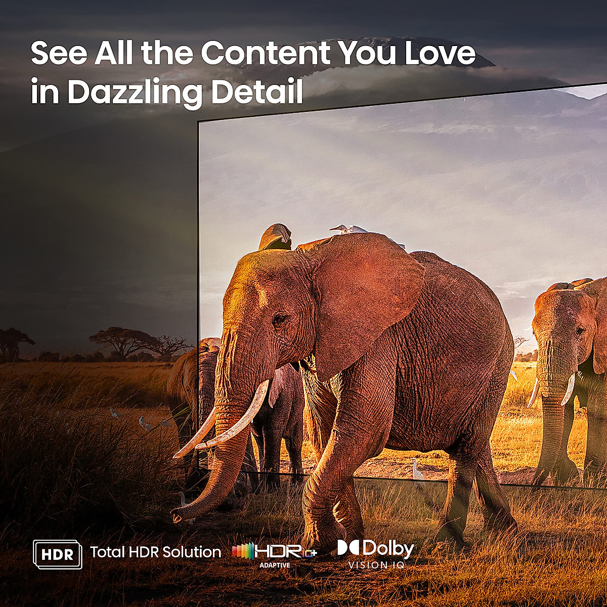 Hisense 75-Inch Class U6 Series Mini-LED ULED 4K UHD Google Smart TV (75U6K) - QLED, Full Array Local Dimming, Dolby Vision IQ，HDR 10+, VRR Game Mode Plus, 240 Motion Rate, Alexa Compatibility