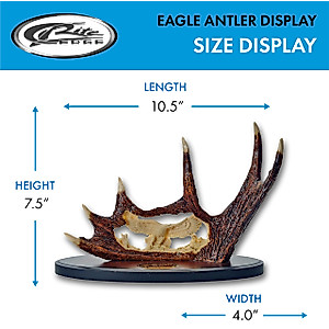 Szco Supplies 15" Etched Blade Bear Outdoor Hunting Knife With Resin Antler Display Stand, Brown