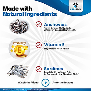 Omega 3 Fish Oil for Dogs - Salmon Oil for Dogs - Dog Fish Oil Supplement May Help Shedding, Allergy, Itch Relief - Supports Dry Skin, Joints - Dog Skin and Coat Supplement - 90 Fish Oil Pills EPA DHA