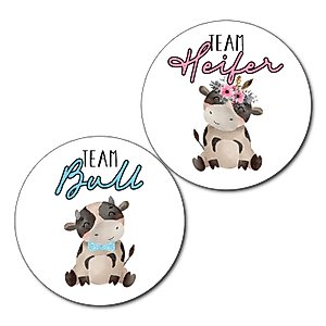 36 2.5-inch Cow Team Bull and Heifer Gender Reveal Party Stickers