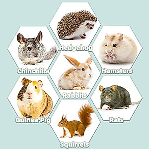 HOORITO 20Pcs Natural Flowers Flavored Timothy Hay Sticks,Rabbit Chew Toys for Teeth,Guinea Pig chew Sticks,Perfect Chew Toys for Bunny Hamsters Chinchillas Guinea Pigs Rats Gerbils (20-Pack)