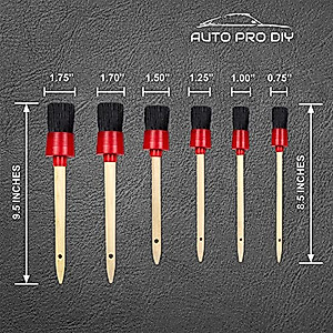 AUTO PRO DIY 11 Piece Car Detailing Kit Set - Car Wheels, Exterior, Interior Cleaning Detail Supplies - Boars Hair, Stainless Steel Wire, Duster Brushes, APD-101