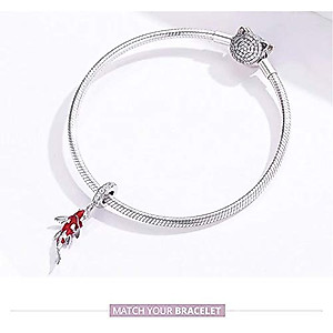 ToHa 925 Sterling Silver Carp Bead Charms,Good Luck Charms Cubic Zirconia Fish Animal Charm Koi Beaded Pendant for European Bracelet & Necklace,DIY Jewelry for Women