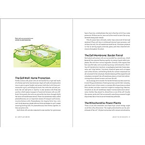 How Plants Work: The Science Behind the Amazing Things Plants Do (Science for Gardeners)