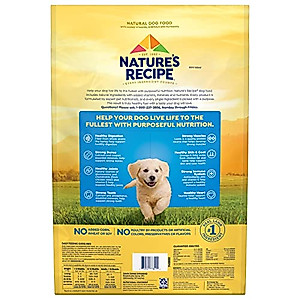 Nature′s Recipe Dry Puppy Food, Lamb & Rice Recipe, 12 lb. Bag