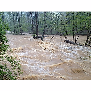 Goldn Gold Paydirt Eureka Panning Pay Dirt Bag – Gold Prospecting Concentrate