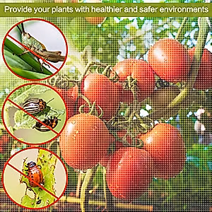 16.4 ft x 10 ft Garden Netting, Fine Garden Screen Mesh, Plant Covers to Keep Small Animals Out, Garden Barrier Bird Netting for Patio Raised Bed Garden Hoops Vegetables Fruits Flowers Protection