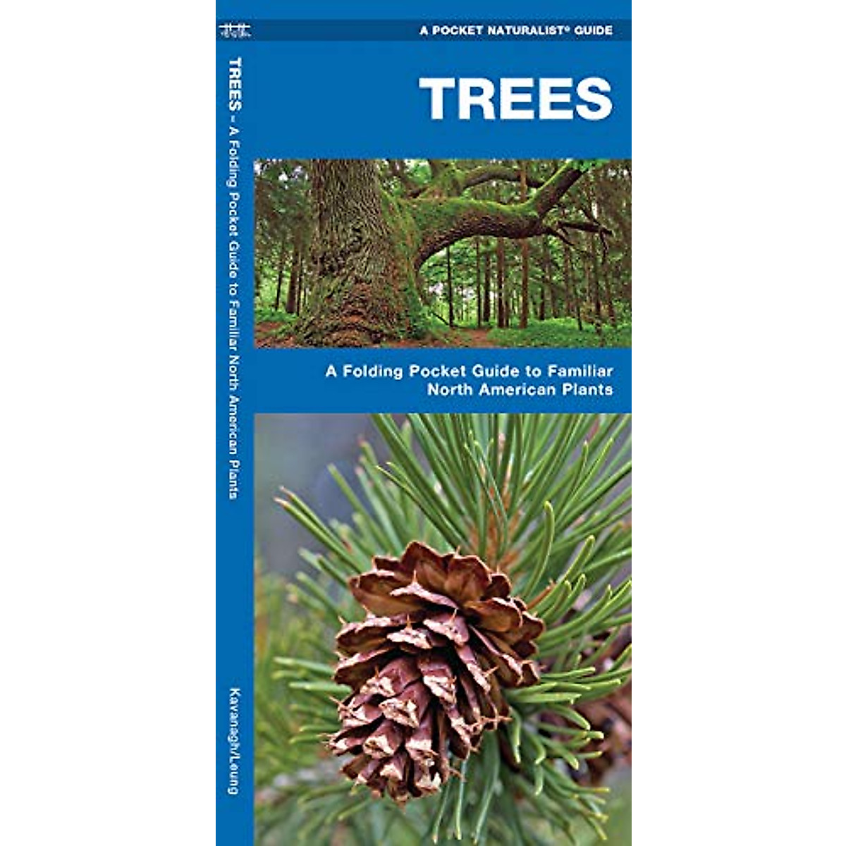 Trees: A Folding Pocket Guide to Familiar North American Plants (Wildlife and Nature Identification)