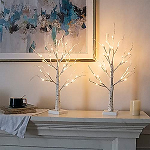 EAMBRITE Home Decorations Light Up Tree Indoor,Set of 4, Battery Operated Tabletop Birch/Bonsai Tree Led Lights Money Tree Wedding Party (2FT / Warm White)