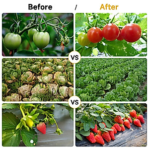 Gilouppe Grow Lights for Indoor Plants, 120 LEDs 6000K Full Spectrum Growing Lamp with Adjustable Tripod Stand 16-63", Dual Heads Plant Light for Indoor Plants with Auto On/Off Timer, 3 Switch Modes