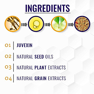 GK HAIR Global Keratin Purple Shampoo/Toner Silver Bombshell 280ml I Leave In Bombshell Cream (100ml/ 3.4 fl. oz)