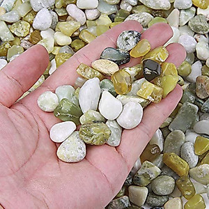Crystal and Gemstone Rocks for Plants, Succulents, Fairy Garden Big 3lb Bulk Bag – 10-15mm Natural Tumbled Crushed Jade Pebbles for Decorating Bonsai Trees, Zen Garden, Succulent Plants