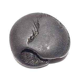 Rudrakshguru Laxmi Narasimha Shaligram