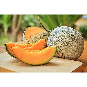 Imperial 45 Cantaloupe Seeds, 50+ Heirloom Seeds Per Packet, (Isla's Garden Seeds), Botanical Name: Cucumis melo VAR. cantalupensis, Non GMO Seeds