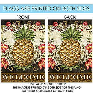 Toland Home Garden 101163 Pineapple & Scrolls Welcome Flag 28x40 Inch Double Sided Welcome Garden Flag for Outdoor House Spring Flag Yard Decoration