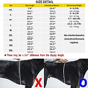 Lucky Petter Dog Shirt for Small and Large Dogs Ringer Cotton T-Shirts Soft Breathable Dog Shirts pet Clothes White Series (Small, White/Peach)