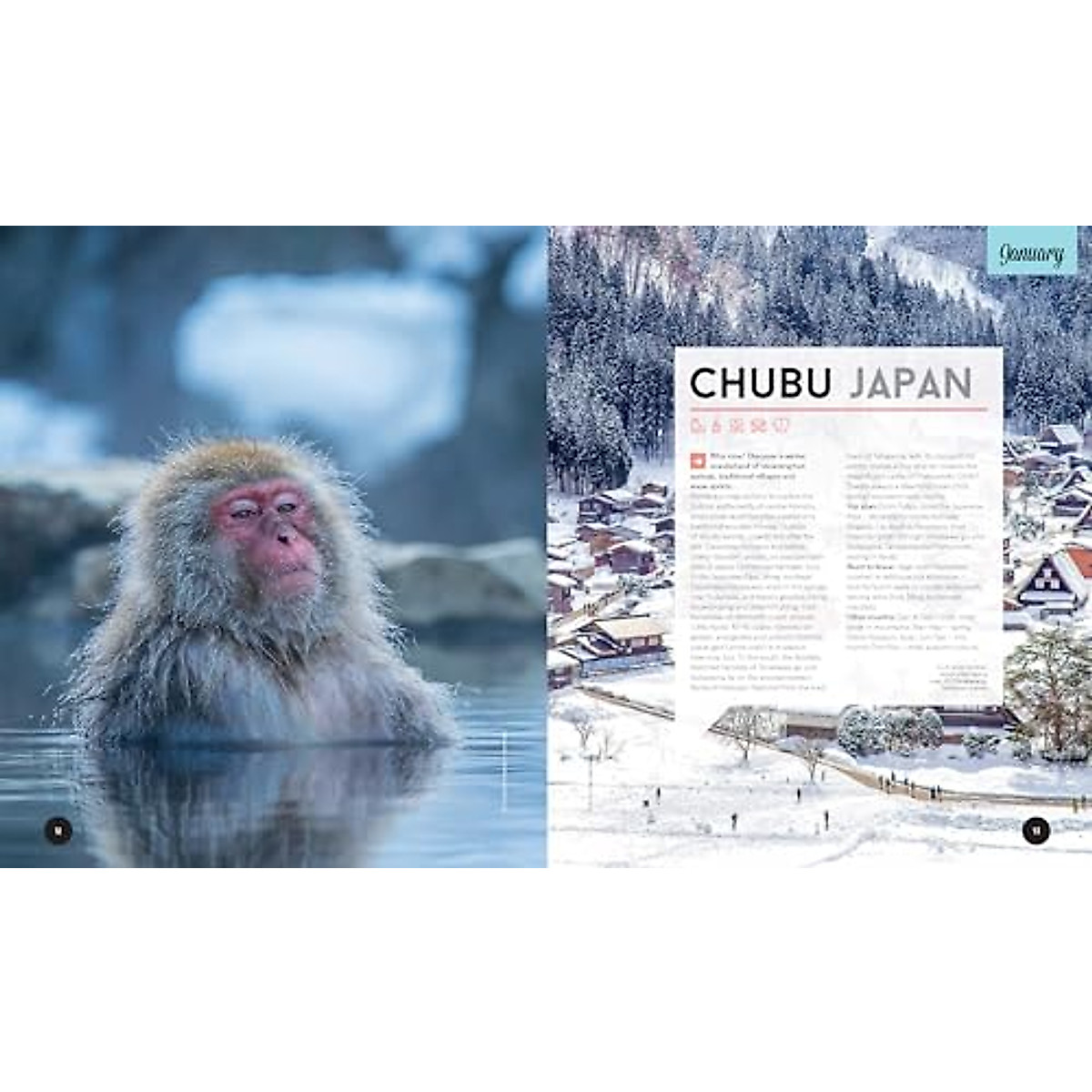 Lonely Planet's Where to Go When