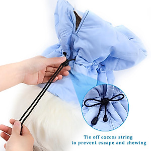 Cat Cone Collar, Adjustable Cat Recovery Collar Lightweight Waterproof Protective Cat Collar Soft Pet Recovery Collar Prevent Dogs Cats from Licking Wounds (S)