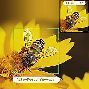 56MP Digital Camera, Portable Cameras with 2.7 Inch LCD Display, 20X Digital Zoom Camera, with Autofocus & Time Lapse, for Travel and Photography