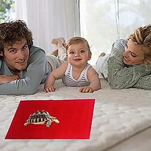 BNOSDM 2 Pieces Reptile Carpet Bearded Dragon Terrarium Substrate Mat Reptile Cage Mat Bedding Supplies for Leopard Gecko Lizard Iguana Snake Tortoise