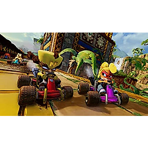 Crash Team Racing Nitro Fueled - PS4, 5030917269738