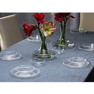 PLASTICPRO 10'' inch Premium Crystal Clear Disposable Plastic Dinnerware Party Plate Pack of 40