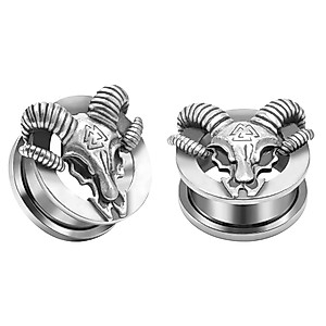 COOEAR Eyelet Ear Plugs Stainless Steel Tunnels Screw back Gauges Sheep Stretcher Expander Earrings Size 2g to 1 inch.